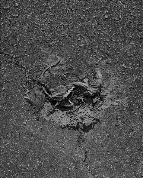 A Synonym For Meaning Booooooom Create Inspire Community Art Design Music Film