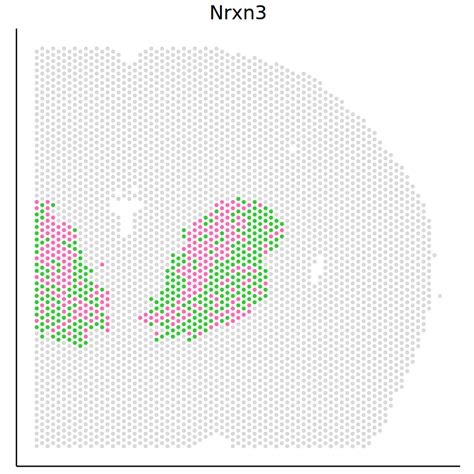 Applying Mcube To Multiple Adult Mouse Brain Datasets From Different