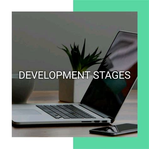 application development at all stages haltentech