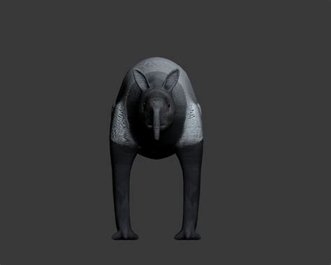 3d Malayan Tapir Model