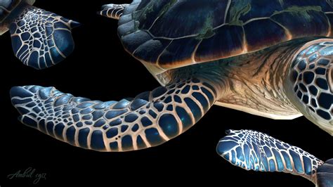 Ambril Cg The Uderwater World