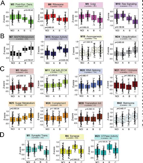 Figure 4 From Unbiased Classification Of The Elderly Human Brain