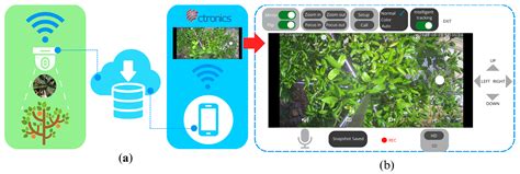 Sensors Free Full Text Sooty Mold Detection On Citrus Tree Canopy Using Deep Learning Algorithms
