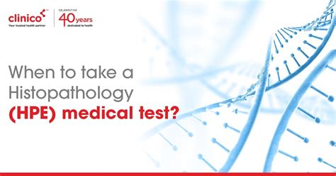Histopathology HPE Test How Its Performed When To Take It
