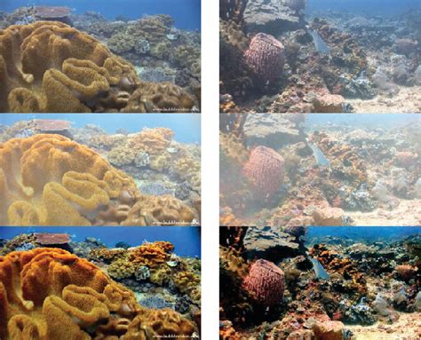 Python 3x What Type Of Cnn Will Be Suitable For Underwater Image