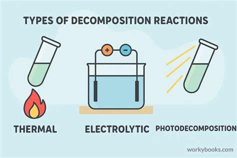 Decomposition Reaction Explained Definition Examples And Quiz