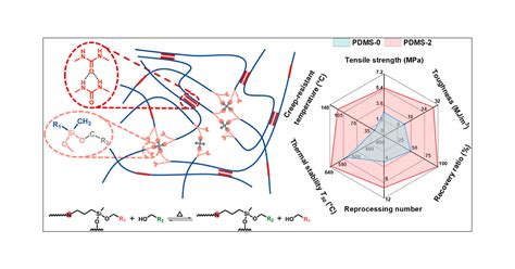 Reprocessable Silyl Ether Based Dynamic Covalent Polydimethylsiloxane Networks With Superb