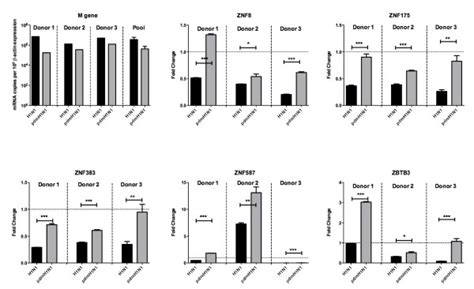 Validation Of Microarray Data By Real Time Pcr Expression Of Viral M Download Scientific