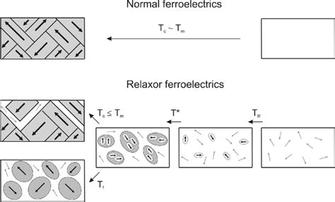 Comparative Diagram Of Temperature Induced Structural Transformations