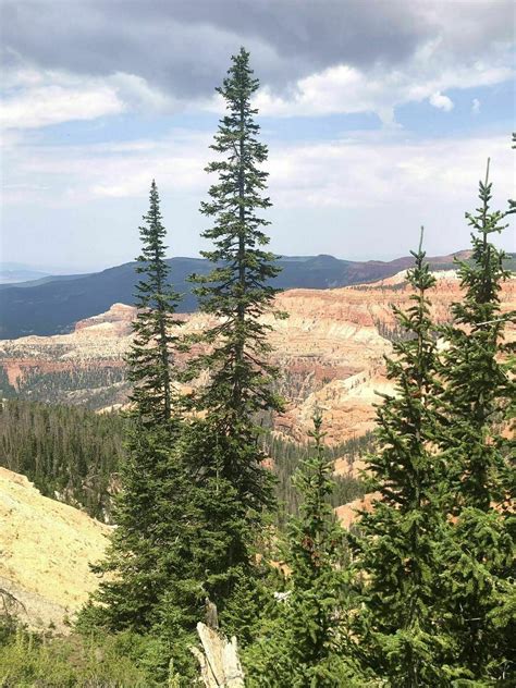 Alpine Pond Trail Utah Alltrails