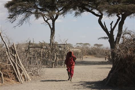 Paura Sicurezza Rischio — Solotablet