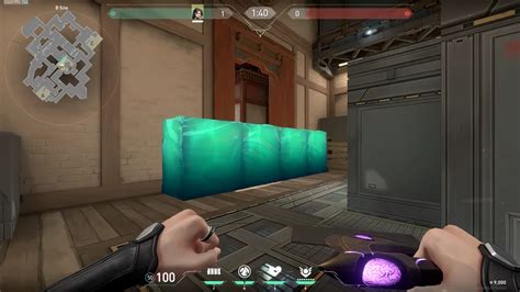 The Best Sage Walls On Haven