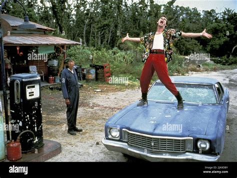 Jim Carrey Film Ace Ventura Pet Detective Usa 1994 Characters Ace
