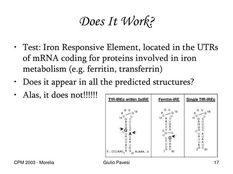Ppt Pattern Discovery In Rna Secondary Structure Using Affix Trees Powerpoint Presentation