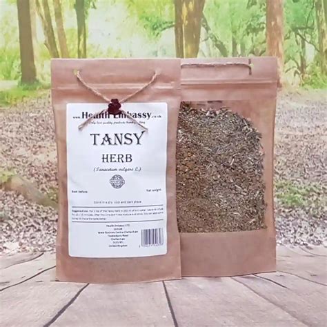 Tansy Herb Tanacetum Vulgare L Herbal Tea Health Embassy