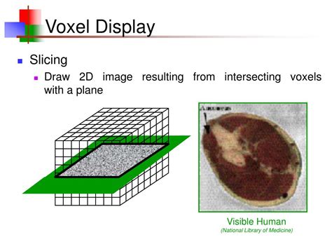 PPT Modeling PowerPoint Presentation Free Download ID