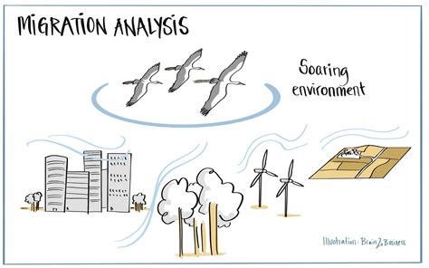 Dc2 Migration Analysis Wilddrone