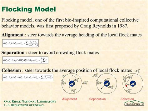 Ppt A Distributed Agent Implementation Of Multiple Species Flocking Model For Document