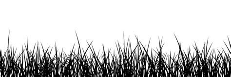 Grass Border Black And White