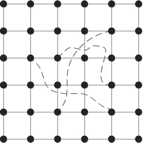 Schematics Of A Long Ranged Connected Lattice Download Scientific Diagram