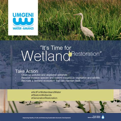 Umngeni Uthukela Water On Linkedin Takeaction Wetlands Actforwetlandsandwater Restorewetlands…