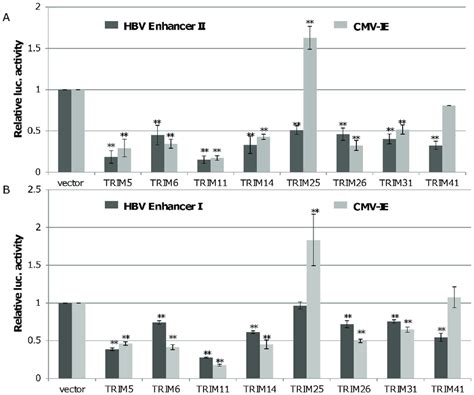 Effects Of The Eight Trim Proteins On Hbv Enhancer I And Enhancer Ii
