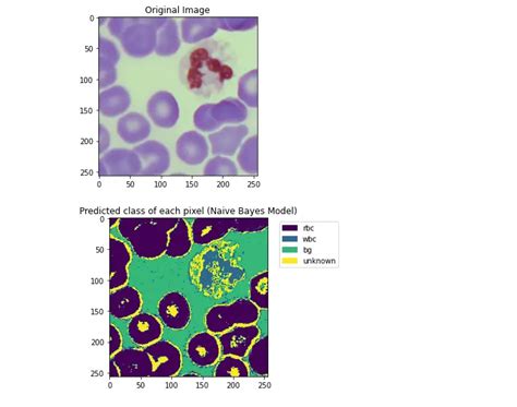 Ml Guide On Cell Segmentation Using Watershed Algorithm
