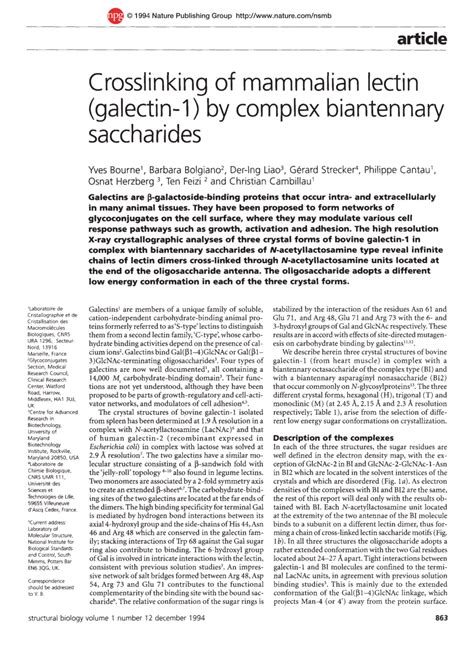 Pdf Crosslinking Of Mammalian Lectin Galectin 1 By Complex