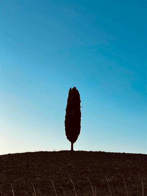 Francesca Todeschini On Linkedin Recognise Me By My Step By The Look You Would Return And Then