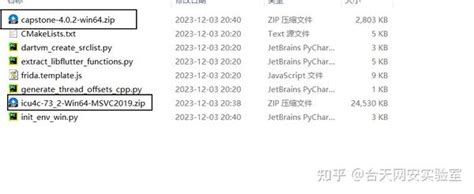 【flutter对抗】blutter使用 actf习题 知乎
