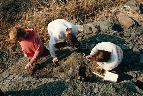 Photograph Collecting Devonian Fossils Science Source Images