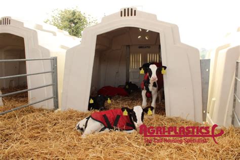 Advancing Calf Welfare Agri Plastics Trailblazing Solutions