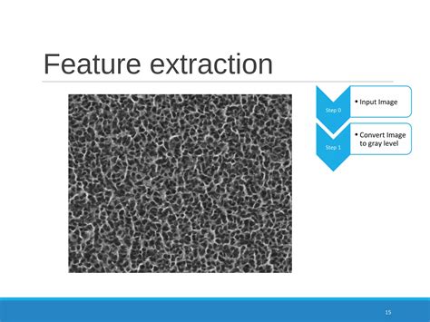 Multi Scale Directional Filtering Based Method For Follicular Lymphoma Grading Ppt
