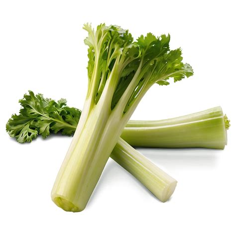Celery Png Images 100
