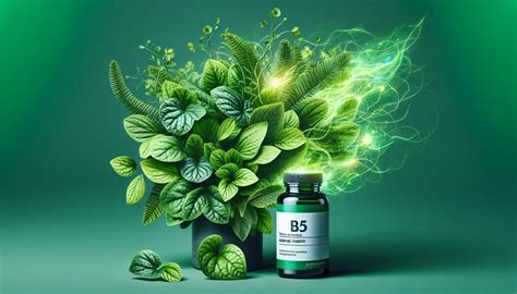 Can Vitamin B5 Pantothenic Acid Support Adrenal Health Vitamin Reviewer