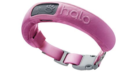 Does Halo Collar Work In Canada At Eileen Porras Blog