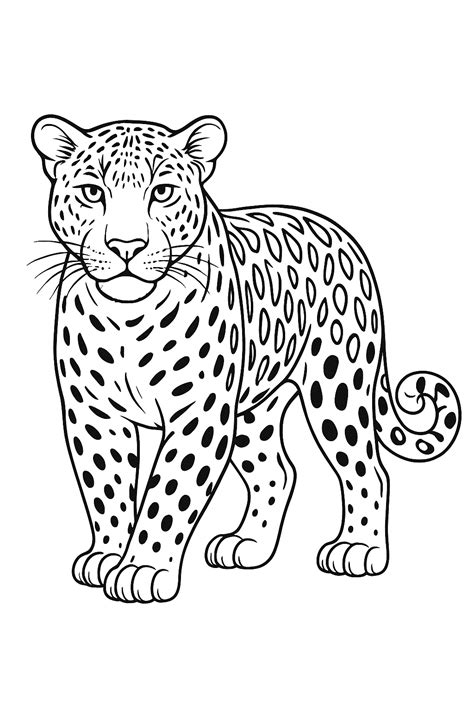 Desenhos De Onça Para Imprimir E Colorir