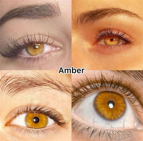 Amber Eyes Rare Eye Colors Pretty Eyes Color Amber Eyes Color