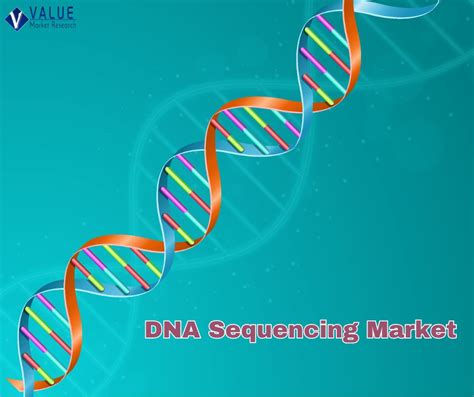 Dnasequencing Technology Bioinformatics Dna Genome Dna Value Market Research