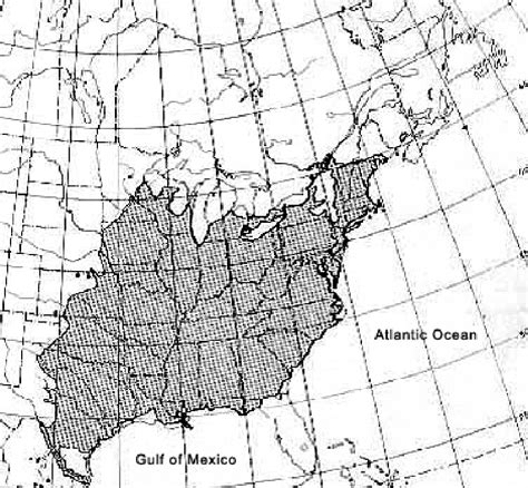 Native Range Of Black Willow In The United States Adapted From