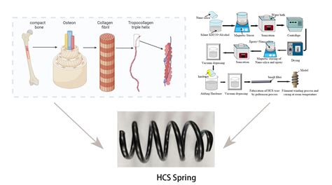 Biomimetics Free Full Text A Biomimetic Basalt Fiberepoxy Helical
