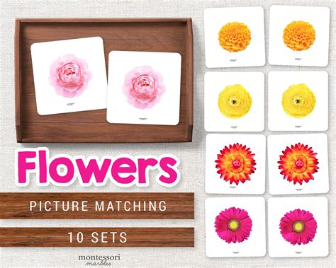 Flower Matching Games At Zac Ayers Blog