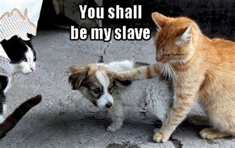 Forming A Postgresql Cluster Within Kubernetes Hackernoon