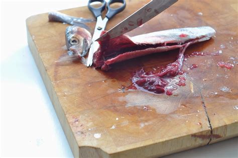 Simple Food Pickled Rollmops Herrings