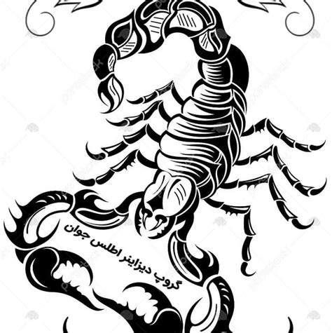 گروپ دیزاینر اطلس جوان