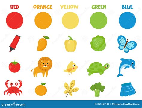 Set Of Colorful Objects Learning Basic Colors For Preschoolers