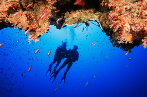 The 13 Best Dive Sites In The Red Sea