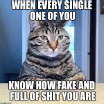 Serious Cat Meme Generator Imgflip