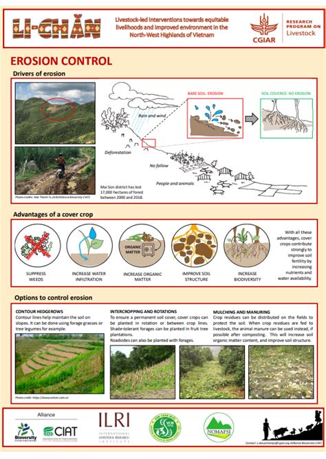 Soil Erosion Prevention Poster 70 Soil Erosion Prevention Stock