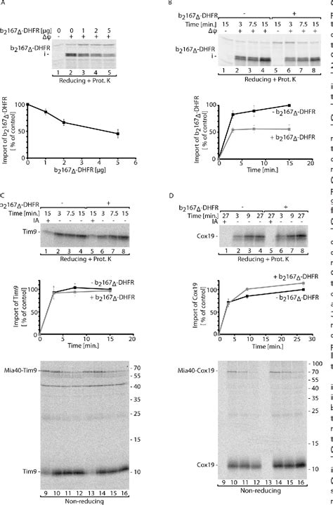 Figure 1 From A Discrete Pathway For The Transfer Of Intermembrane
